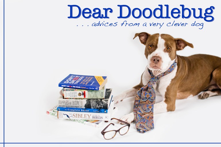 Dear Doodlebug: eat your veggies and pick the right collar! « Love and ...